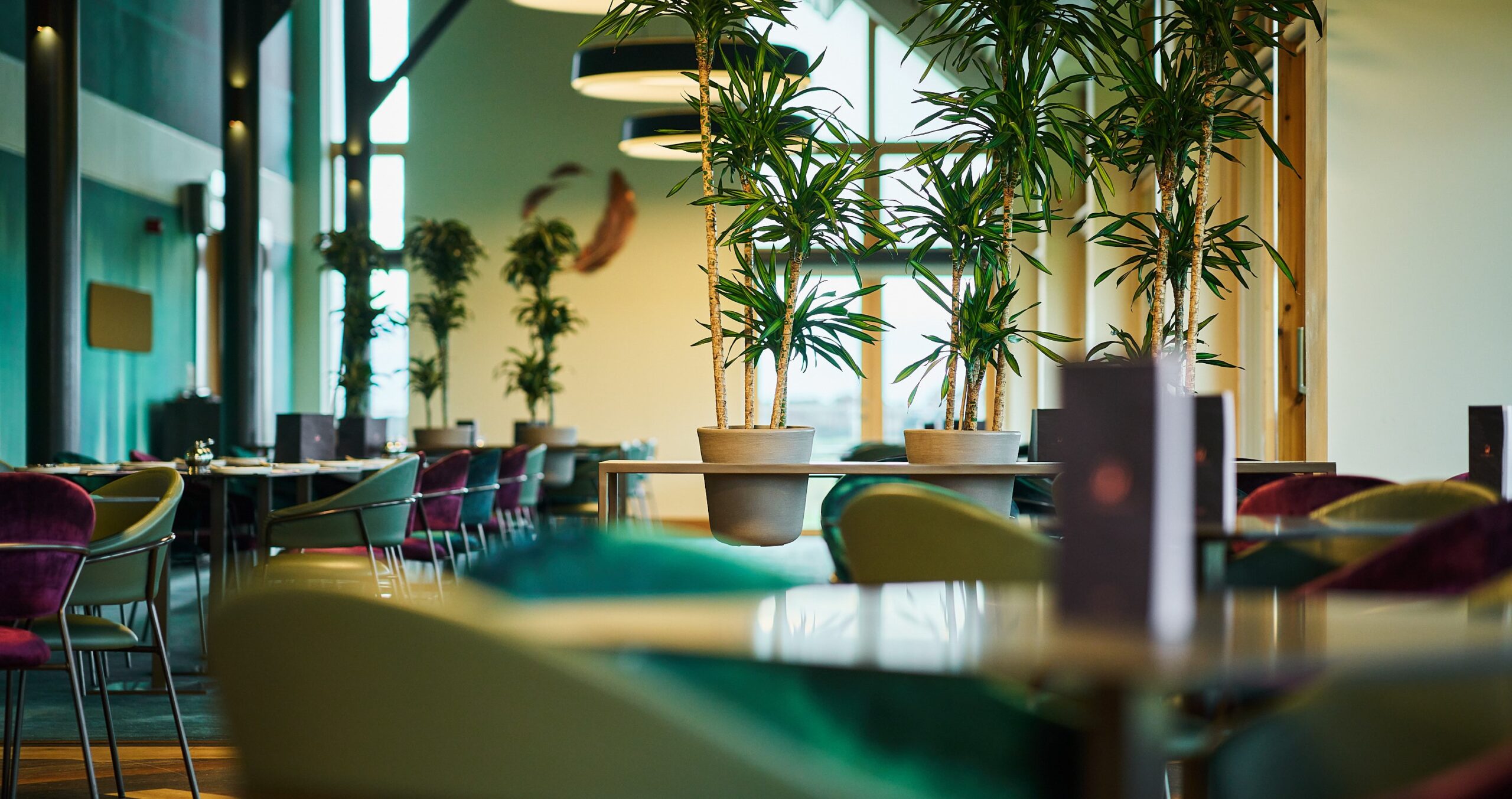 Contact - The Rookery